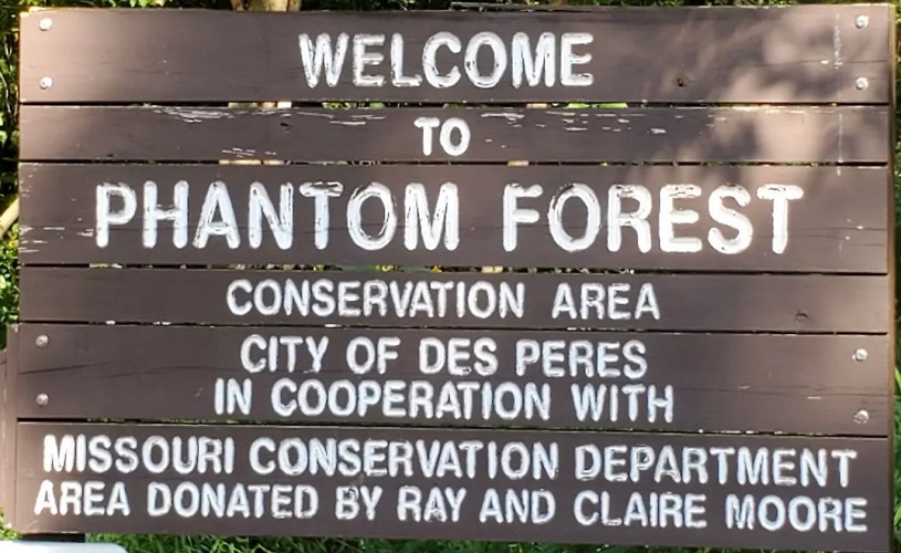 Phantom Forest